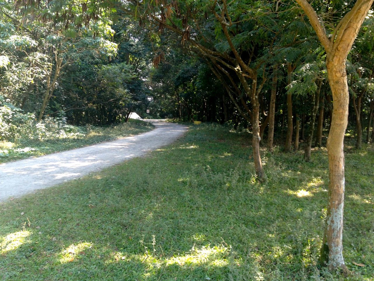 Parque Ecológico do Tietê_Núcleo Engenheiro Goulart em São Paulo ...