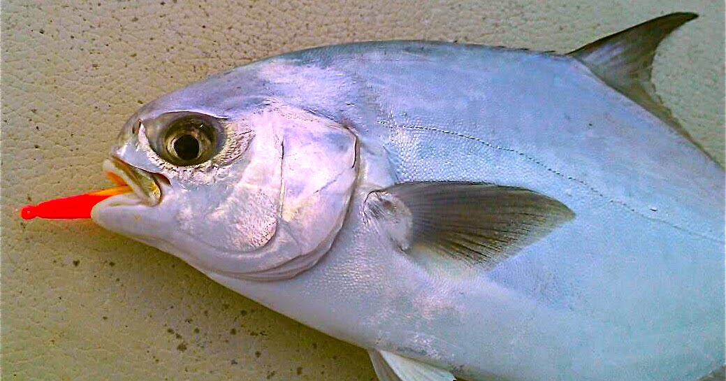 On Foot Angler: From Native Tackle - Sebastian