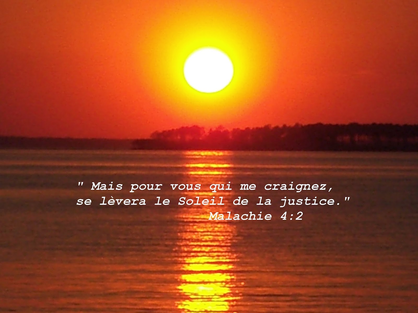 Des chants qui touchent le coeur : Dans mon âme un beau soleil brille