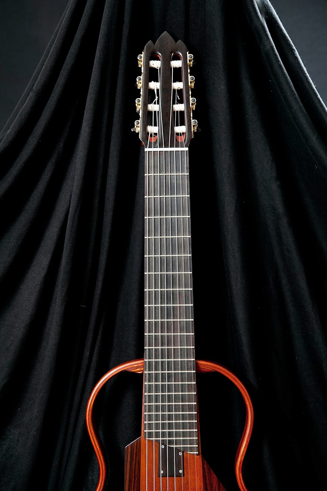 Liutai a Torino: Eight Strings Silent Guitar