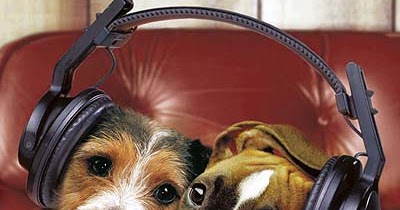 One Hand On The Radio: For The Dogs