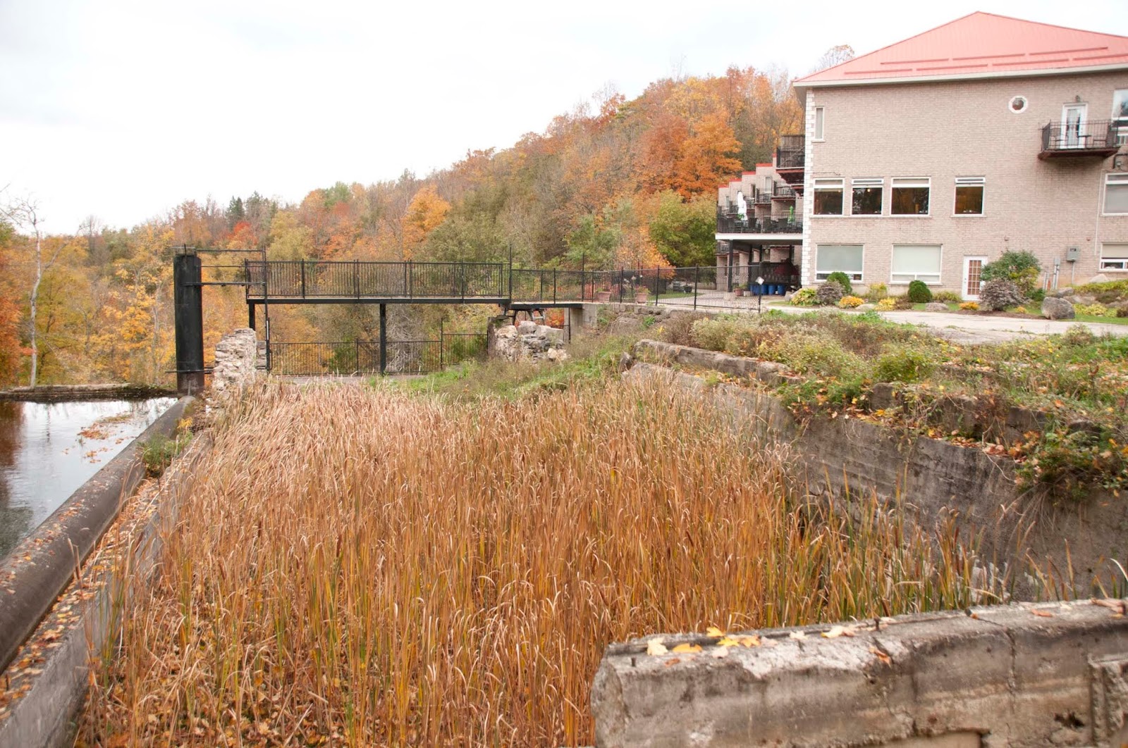 Trout Family History: Photo Identified, Trout mill site located