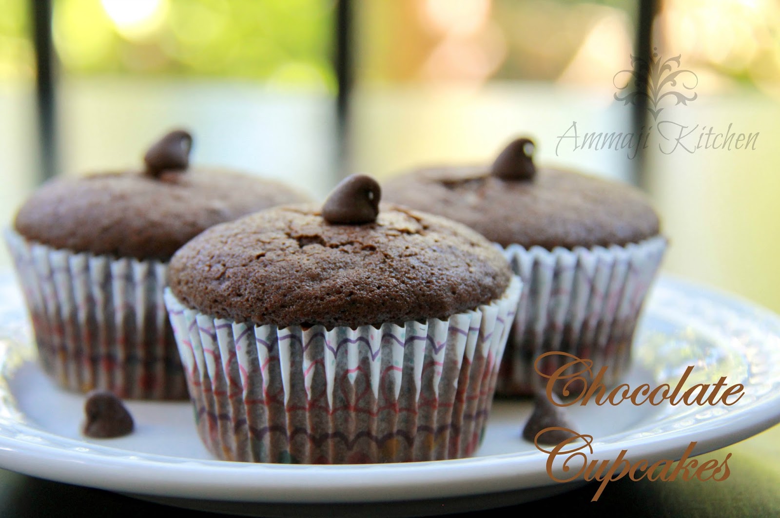 Chocolate Cupcakes | Indian Food Recipes | Ammaji Kitchen