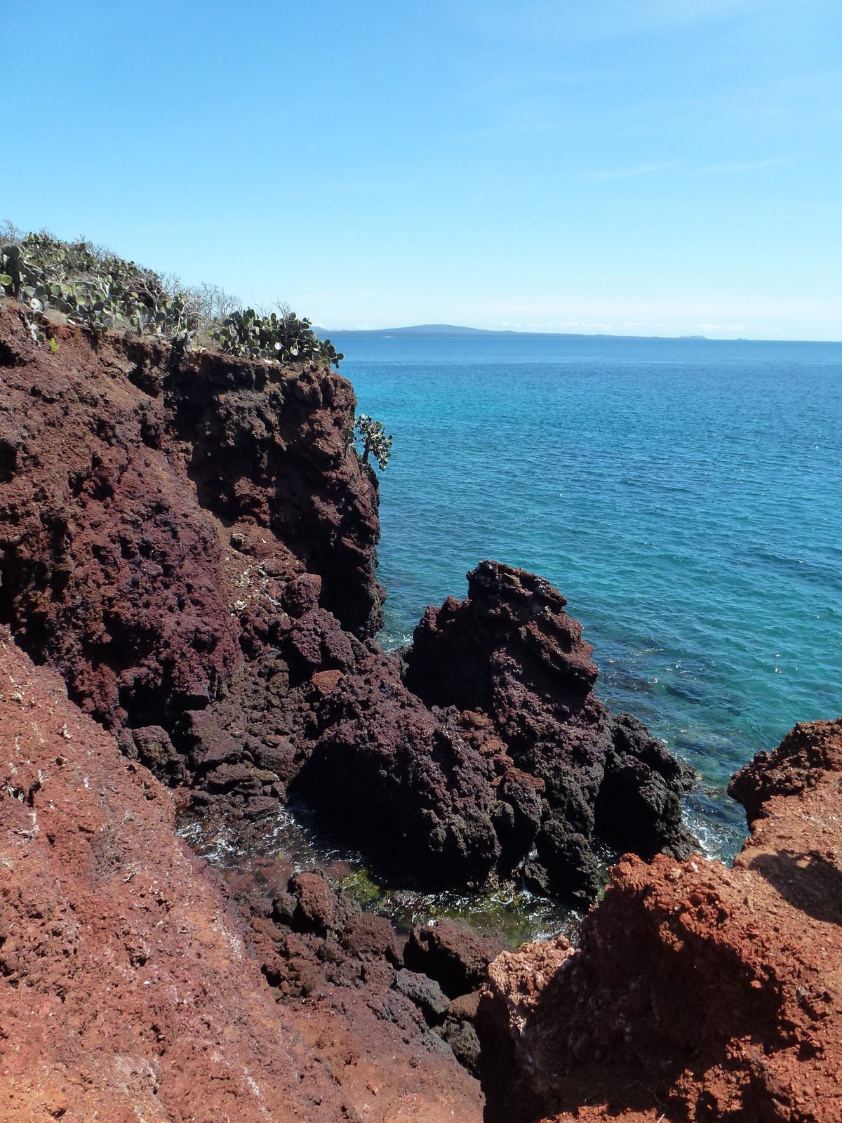 Pérambulations sud américaines: Les îles Galapagos
