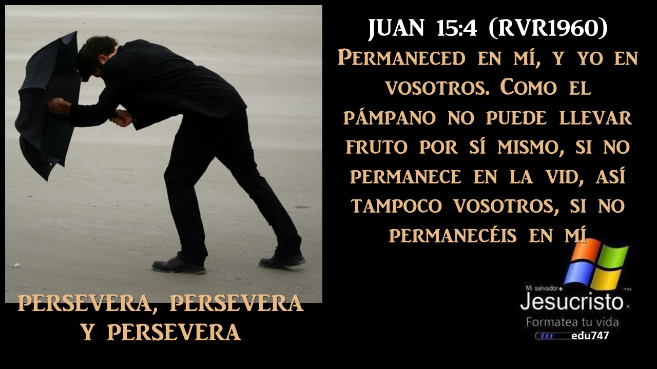 desde mi corazon: PERSEVERA, PERSEVERA Y PERSEVERA