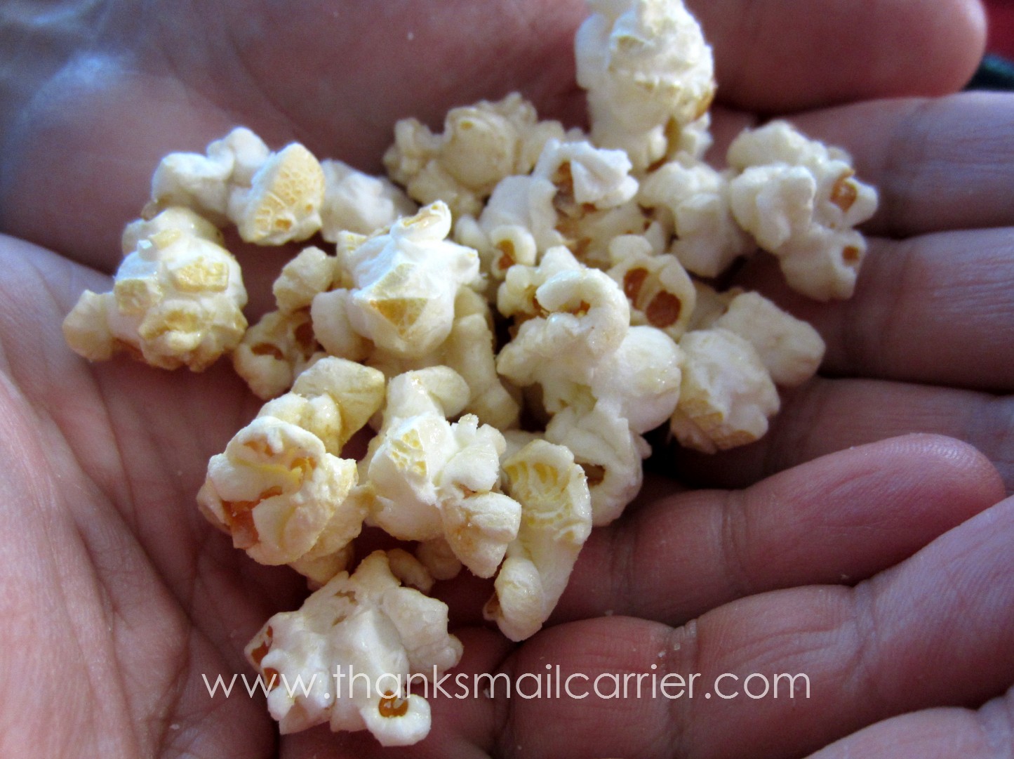 Thanks, Mail Carrier | Dale and Thomas Gourmet Popcorn for Mother's Day ...