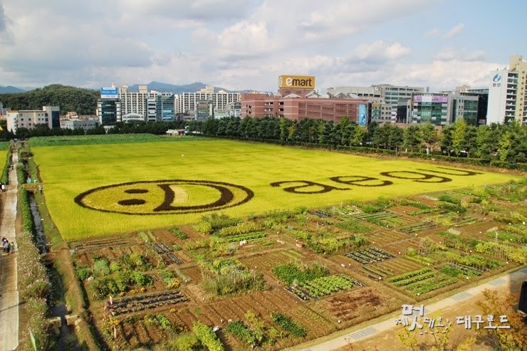 [Daegu Fair] Farming in the city! The Third Korea Urban Agriculture ...