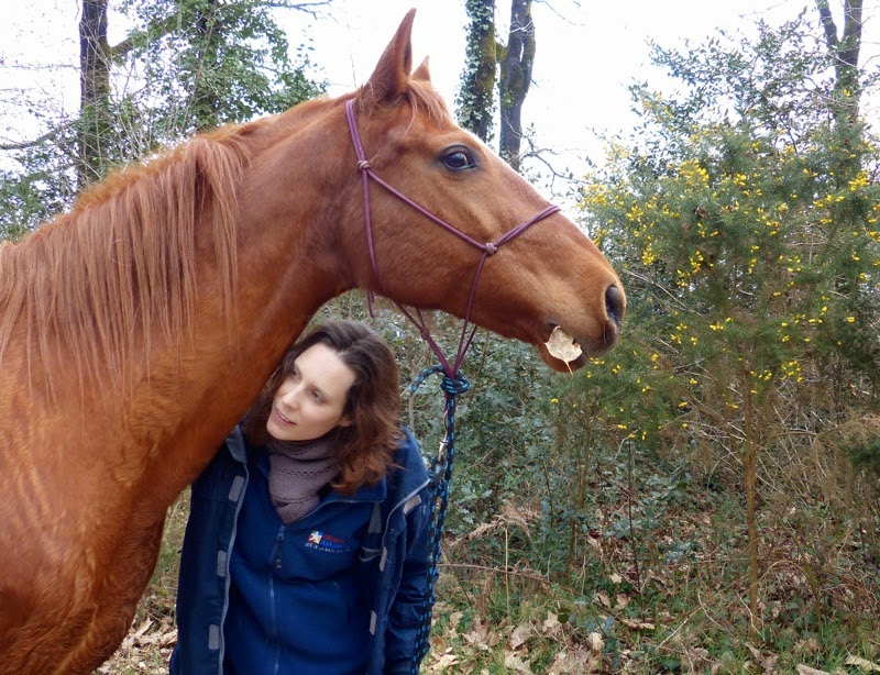 AMCR - LES ESSARTS - 85: Cavalier seul