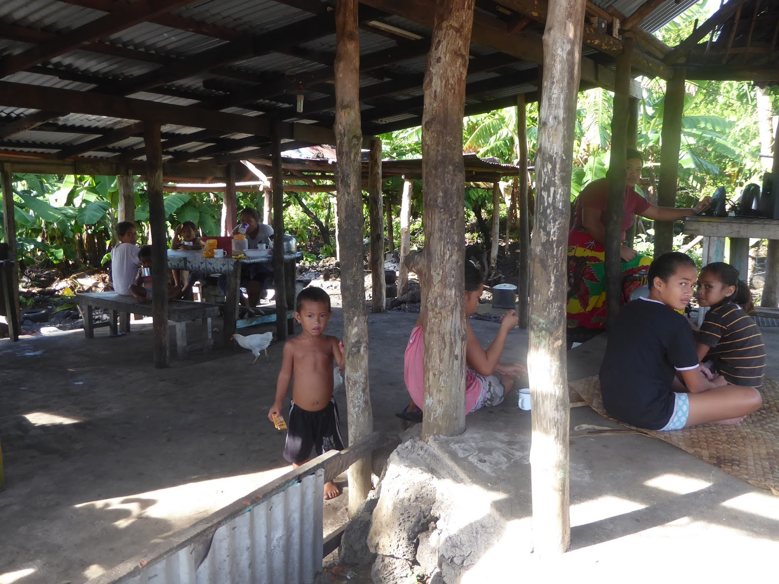 Schaefermeyers in Samoa: Life in Samoa Through Pictures