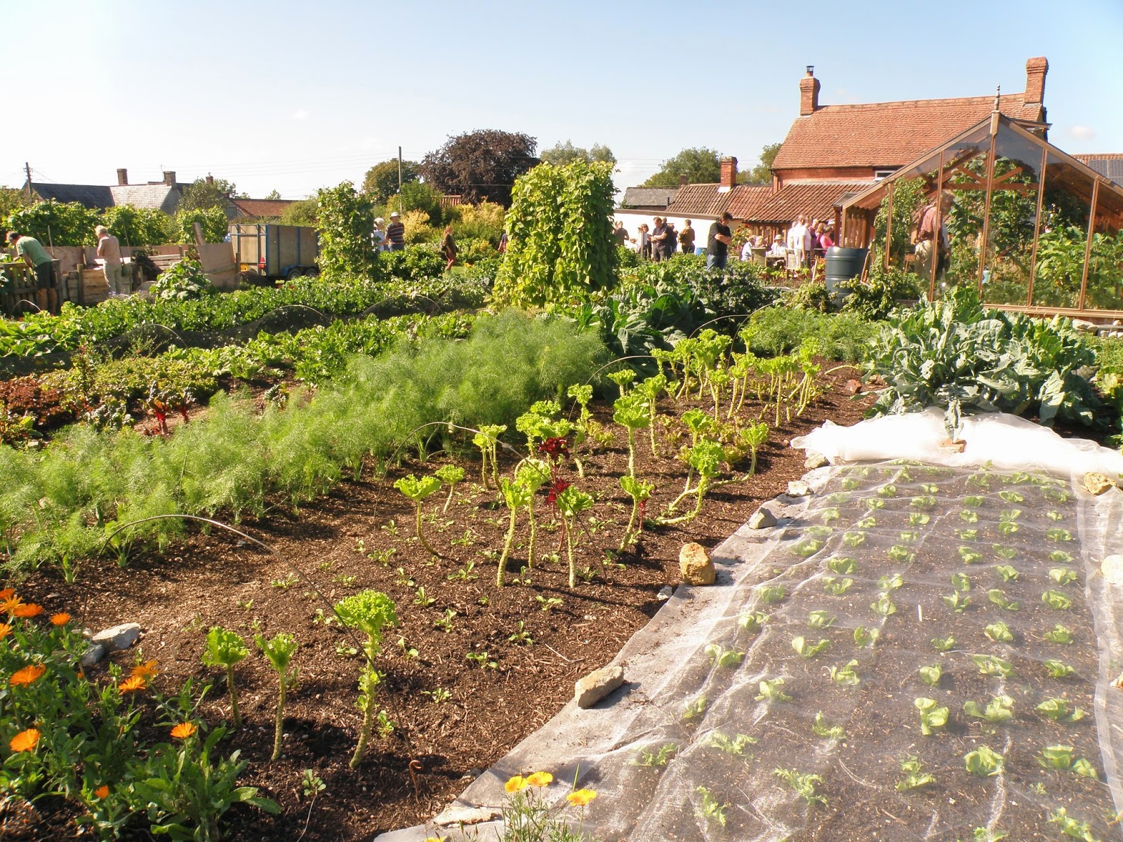 A Blog about Compost: Garden visit - Charles Dowding - Homeacres, Somerset