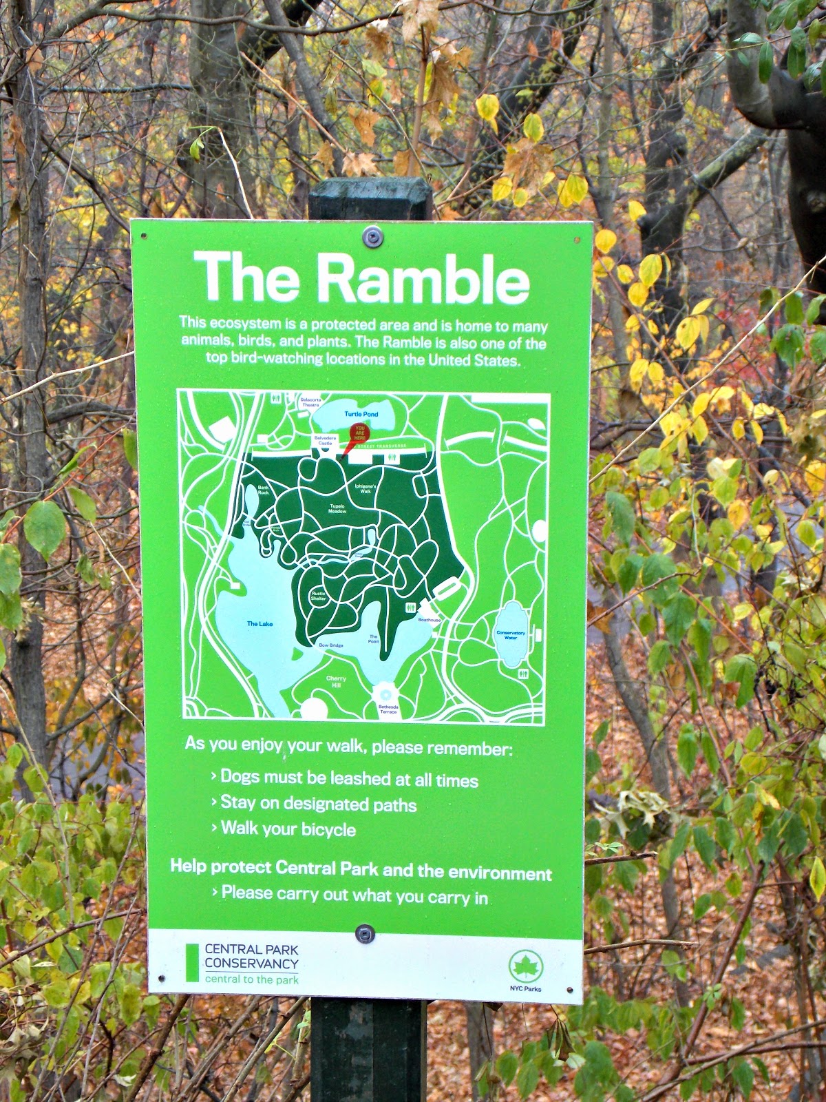 Cleo Coyle Recipes.com: A Central Park Walking Tour with author Cleo Coyle