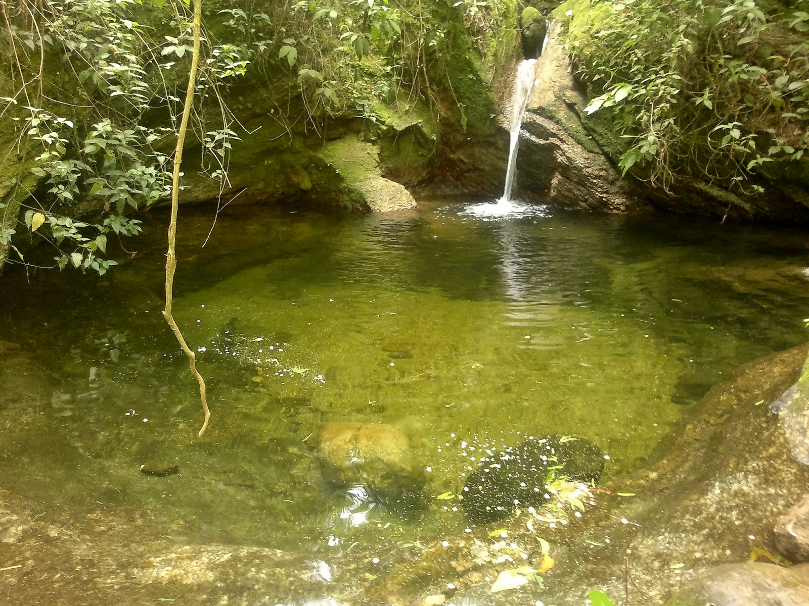 Trilhas e Pedais : Bosque da Barra + Quitite