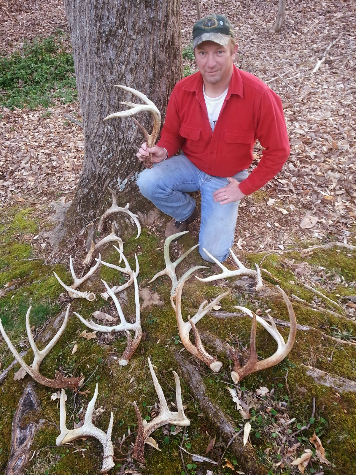 Adventures Afield: TACTICS FOR MORE SUCCESSFUL SHED ANTLER HUNTING