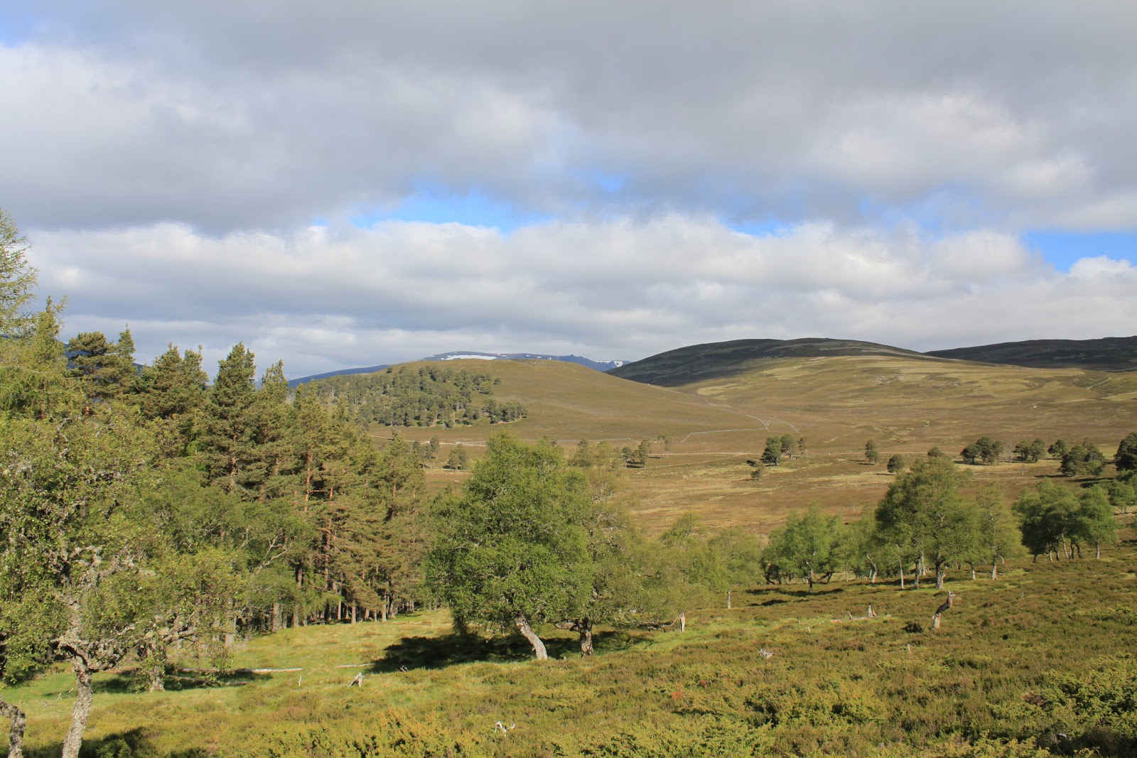 Walking in the North East of Scotland: Culardoch & Carn Liath from ...