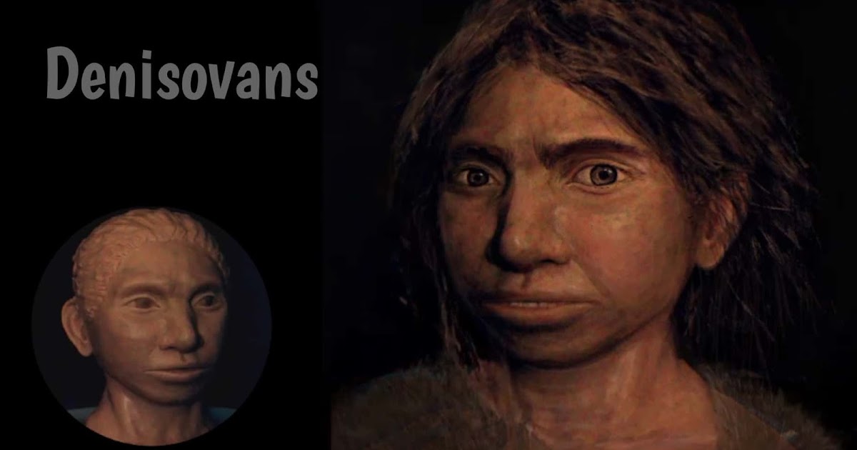Sejarah dan Ciri-Ciri Denisovan (hominini denisova) - Zona Penemuan