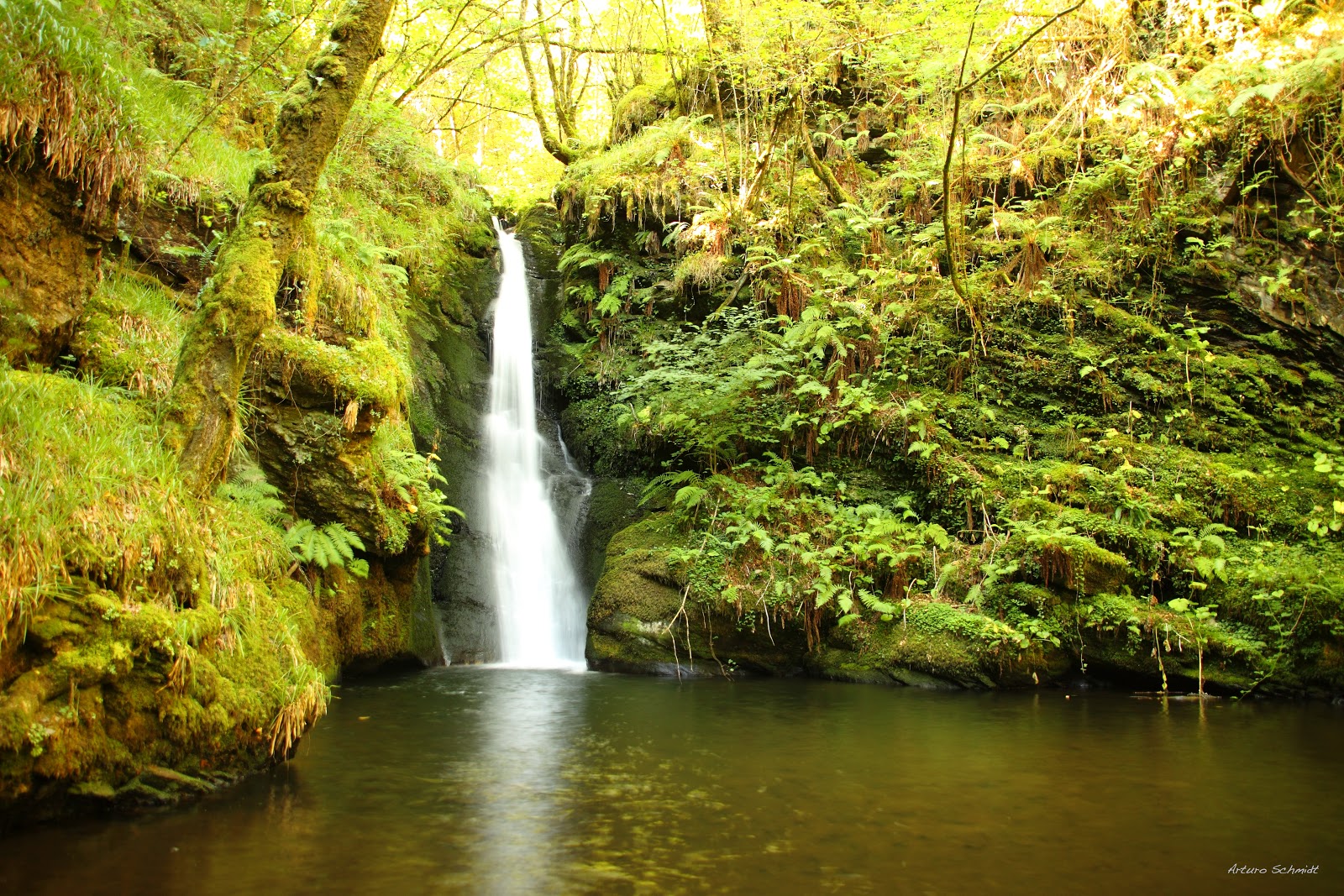 Palnackie: Manantial de vida