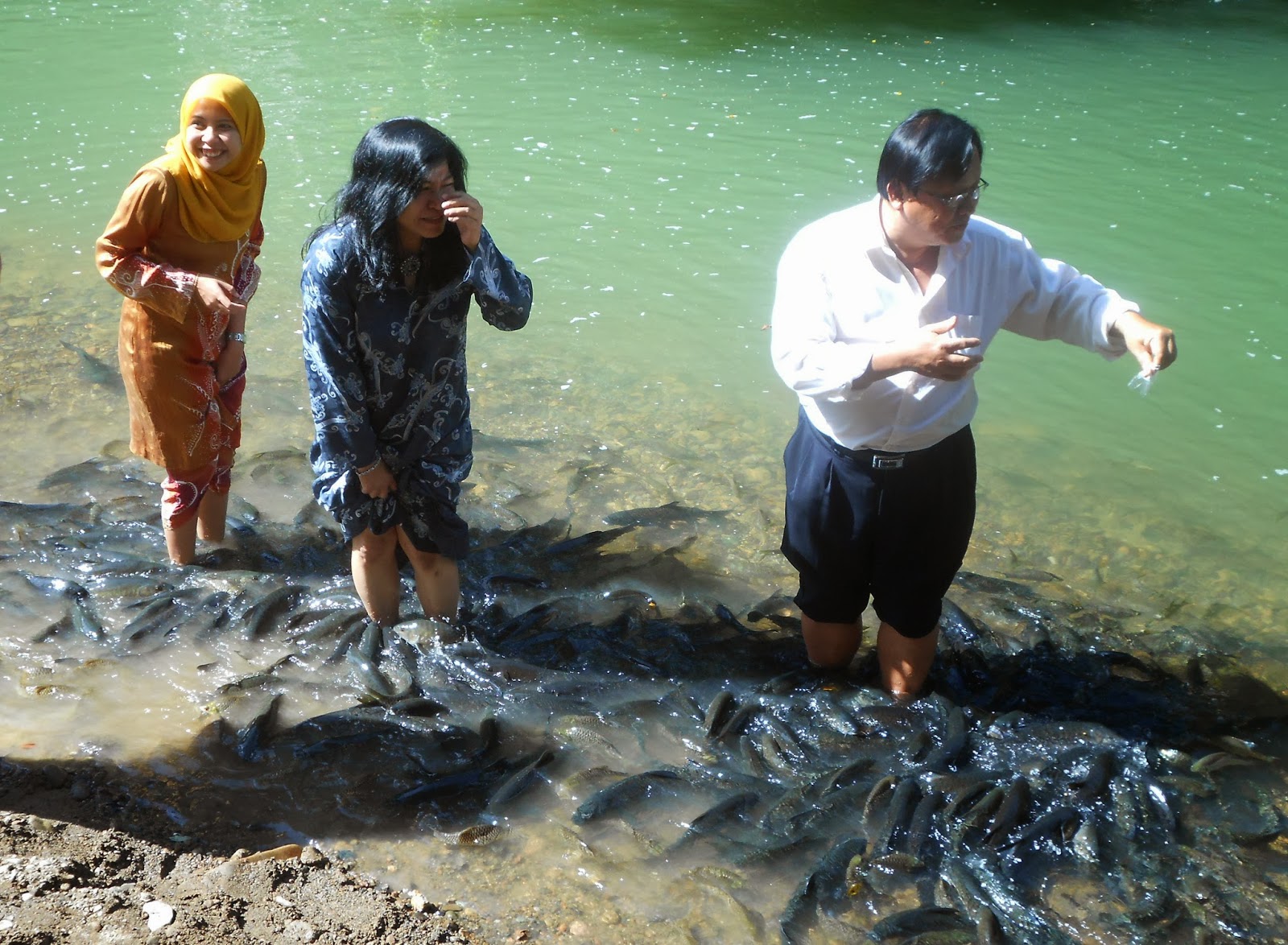 FREELITTLEBRAIN: Fish SPA in Sabah -Tagal Sungai Moroli, Kg Luanti Baru