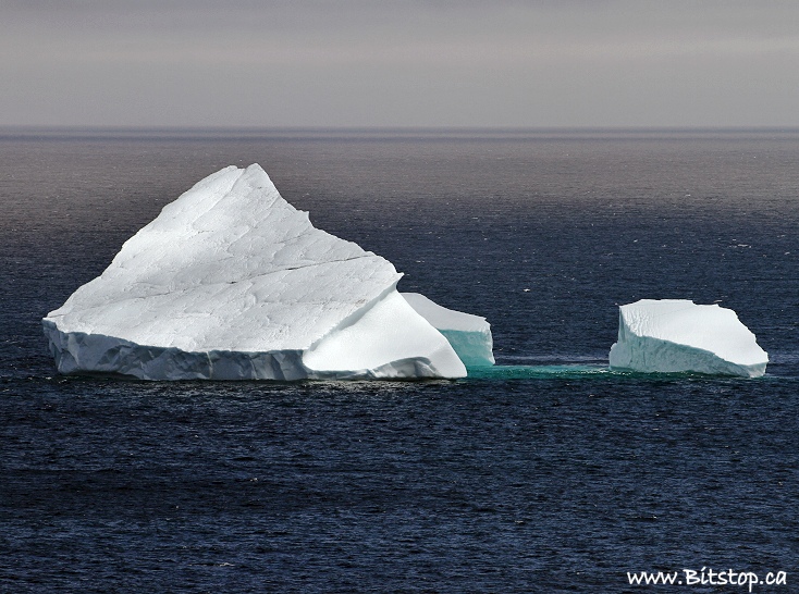 Bitstop: Icebergs at Fort Amherst