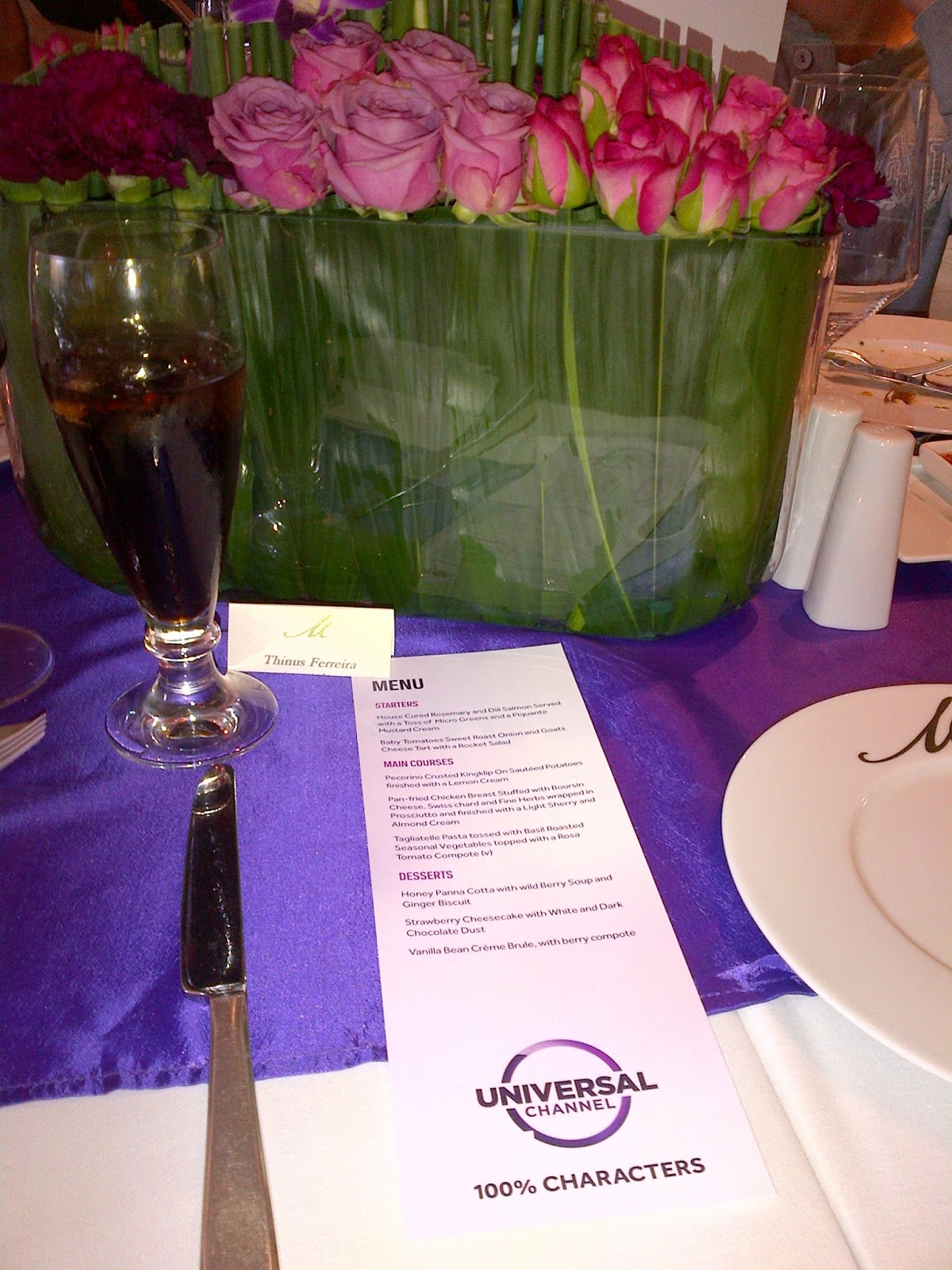 TV with Thinus: Universal Channel '100% characters' rebrand: Shows will ...