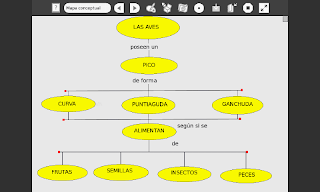juntotrabajamos: Mapa conceptual: Las aves