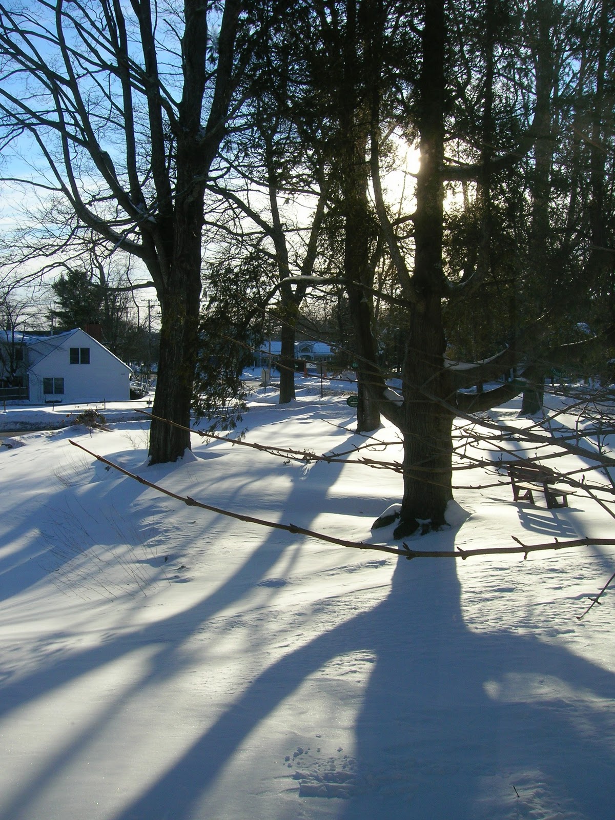 White Cedar Inn Today: Wordless Wednesday- Winter Day in Maine