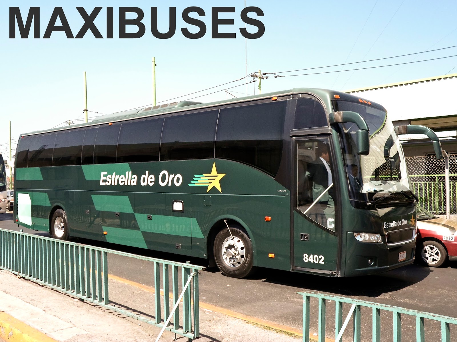 MAXIBUSES: ESTRELLA DE ORO PLUSS