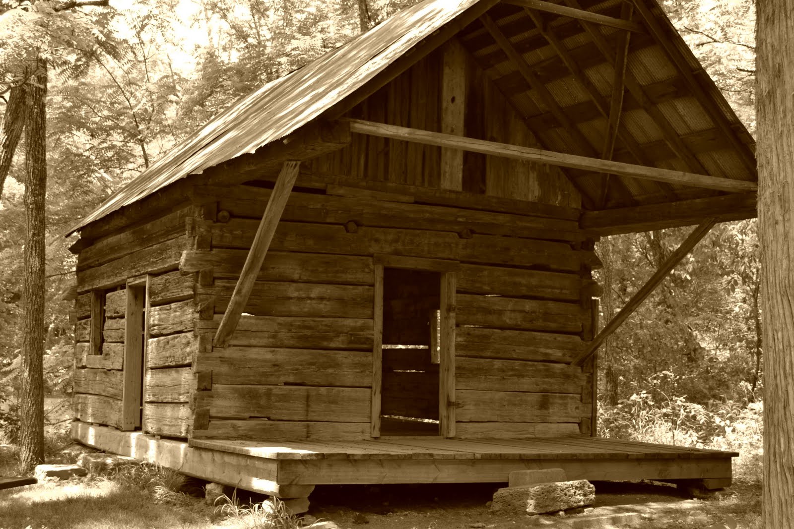Honeysuckle Cottage: McCormick Lake