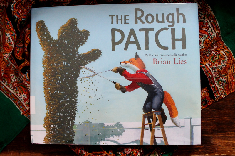 Books and Umbrellas: The Rough Patch by Brian Lies