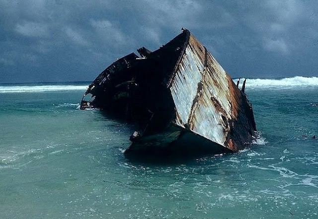 On The Rocks: The Last Voyageof the Brigantine Yankee