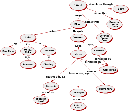 page3: concept map of heart