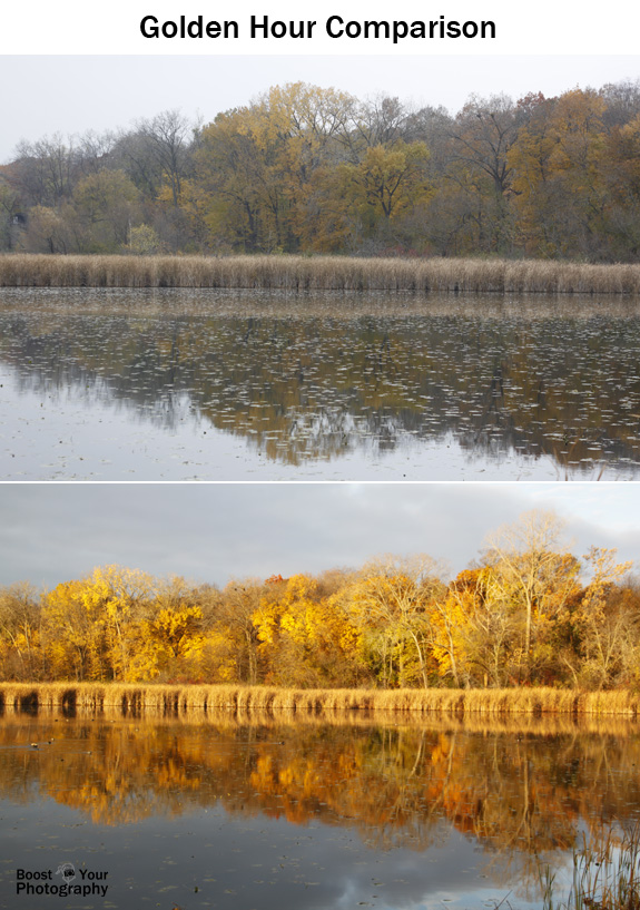 Ideas for Natural Light Photography | Boost Your Photography