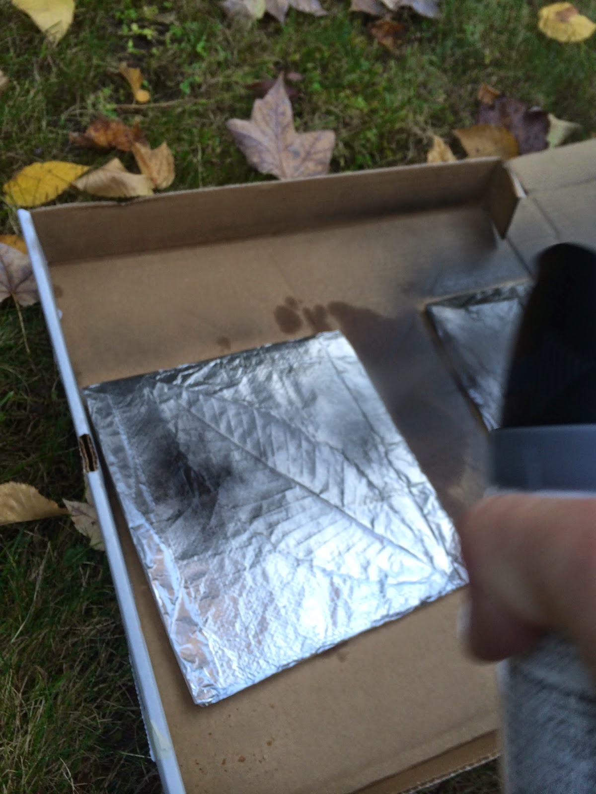 Making Magic Happen: THE coolest Leaf Impressions Ever!