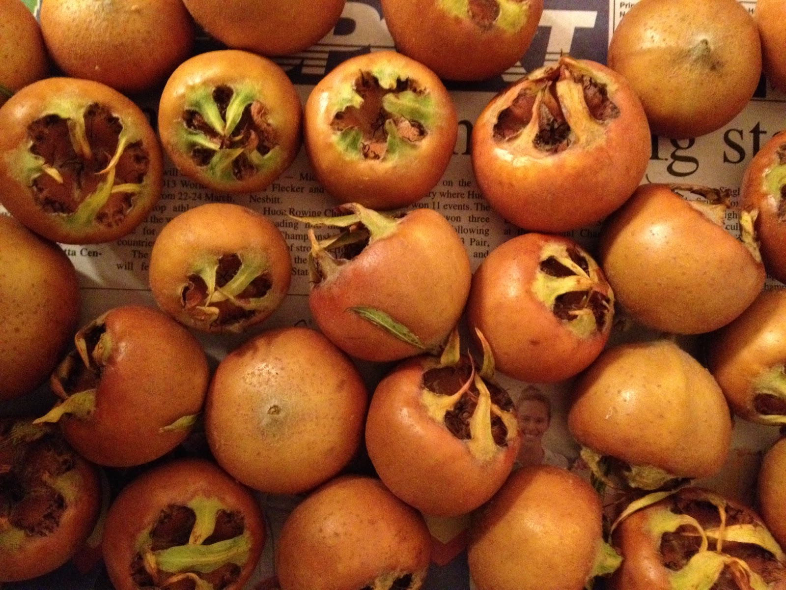 Huon View: Meddling with medlars