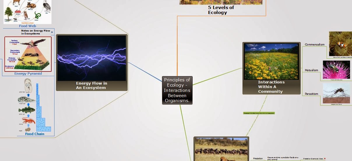 Mr. Watterson's Science Blog