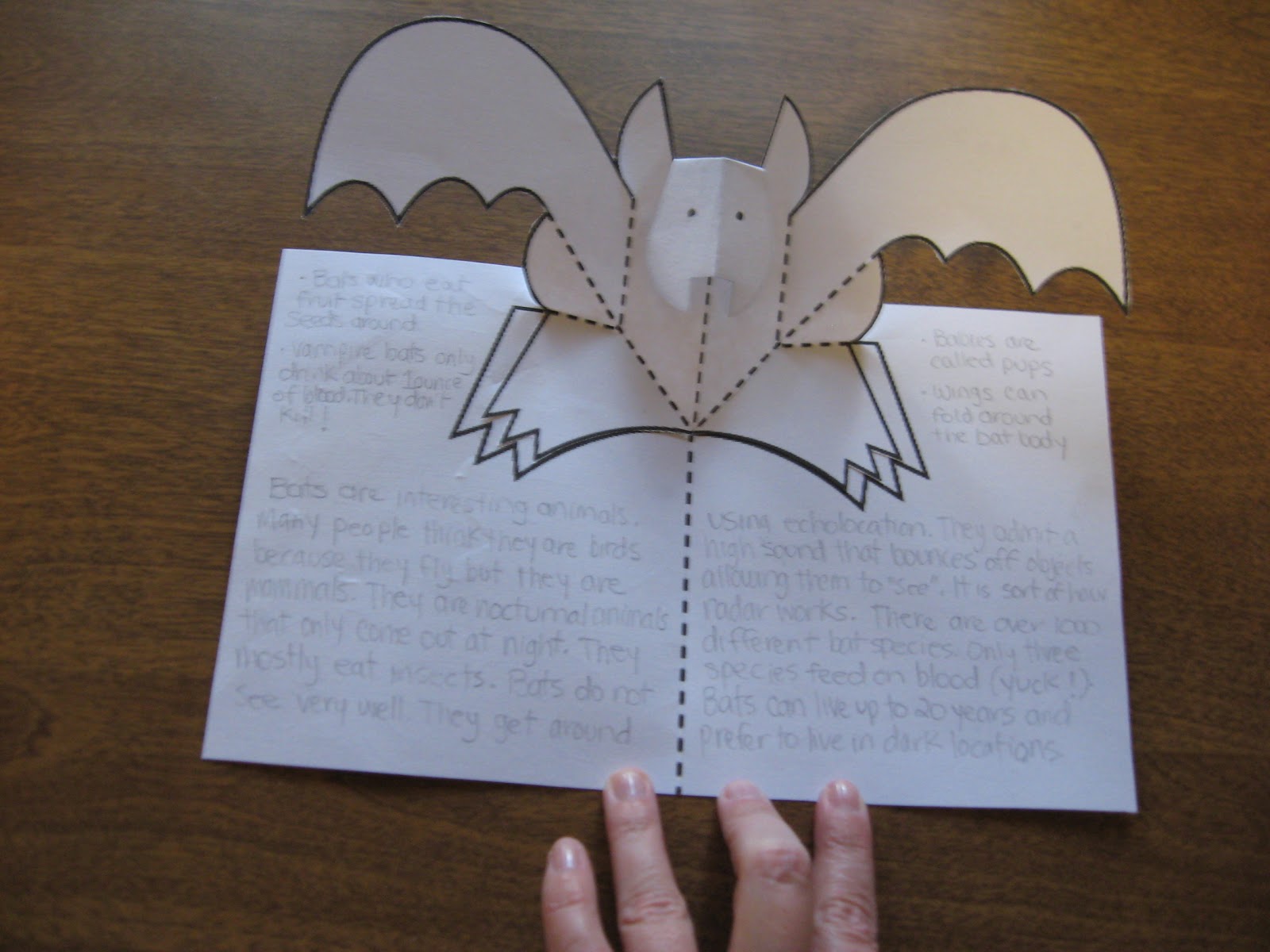 Halloween Activity - Bats