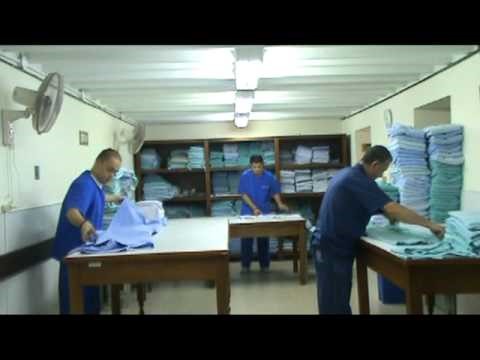 técnicas de trabajo en lavandería y ropería: PLAN DE LIMPIEZA