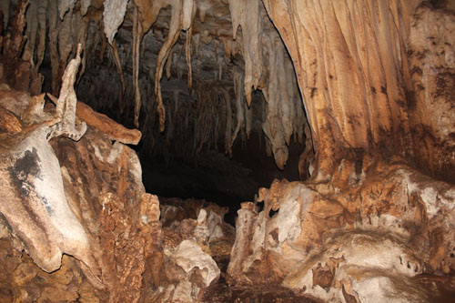 Experience the Extreme Adventure in Bohol Philippines | Bohol ...