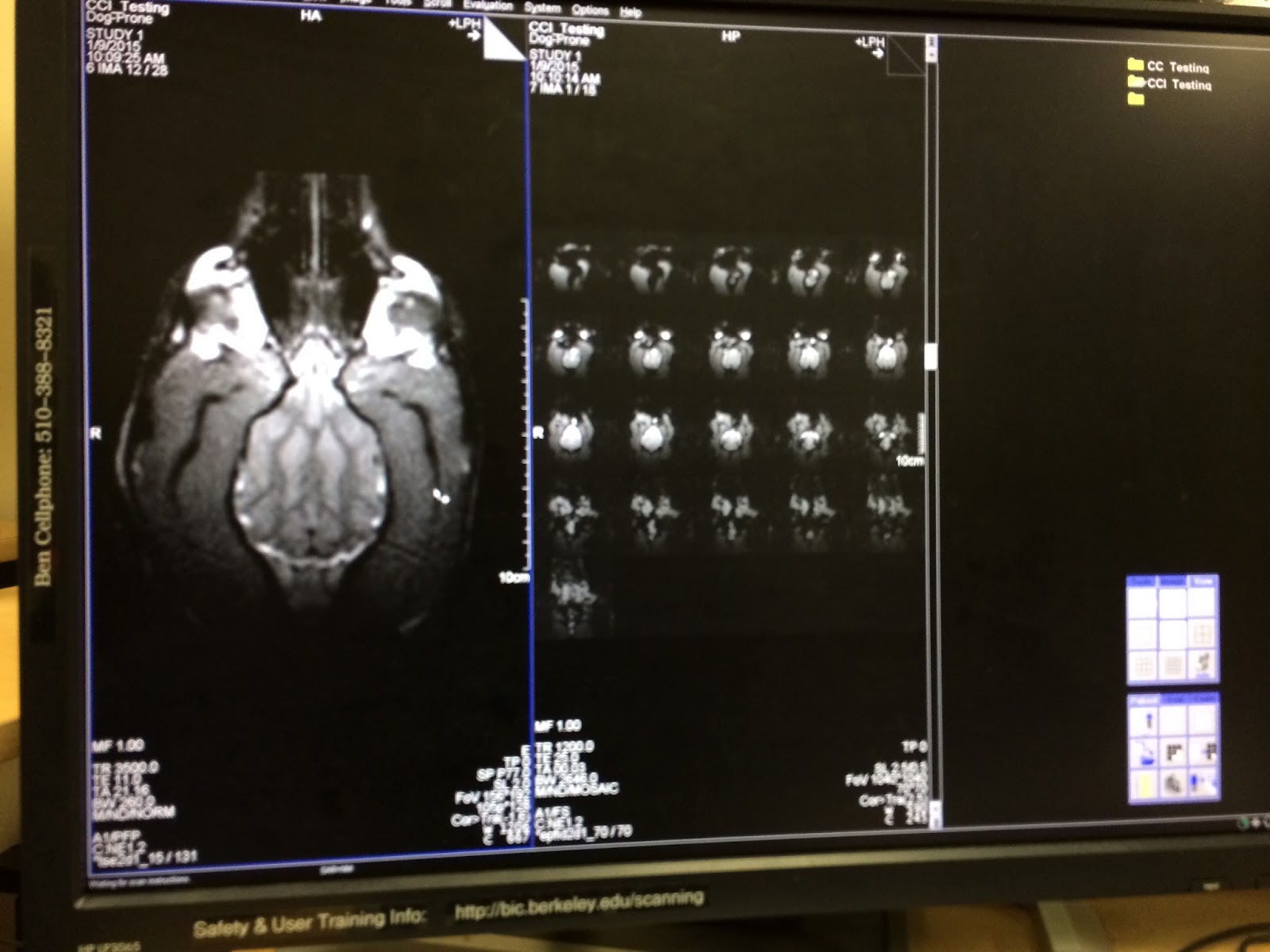 practiCal fMRI: the nuts & bolts: Functional MRI of trained dogs