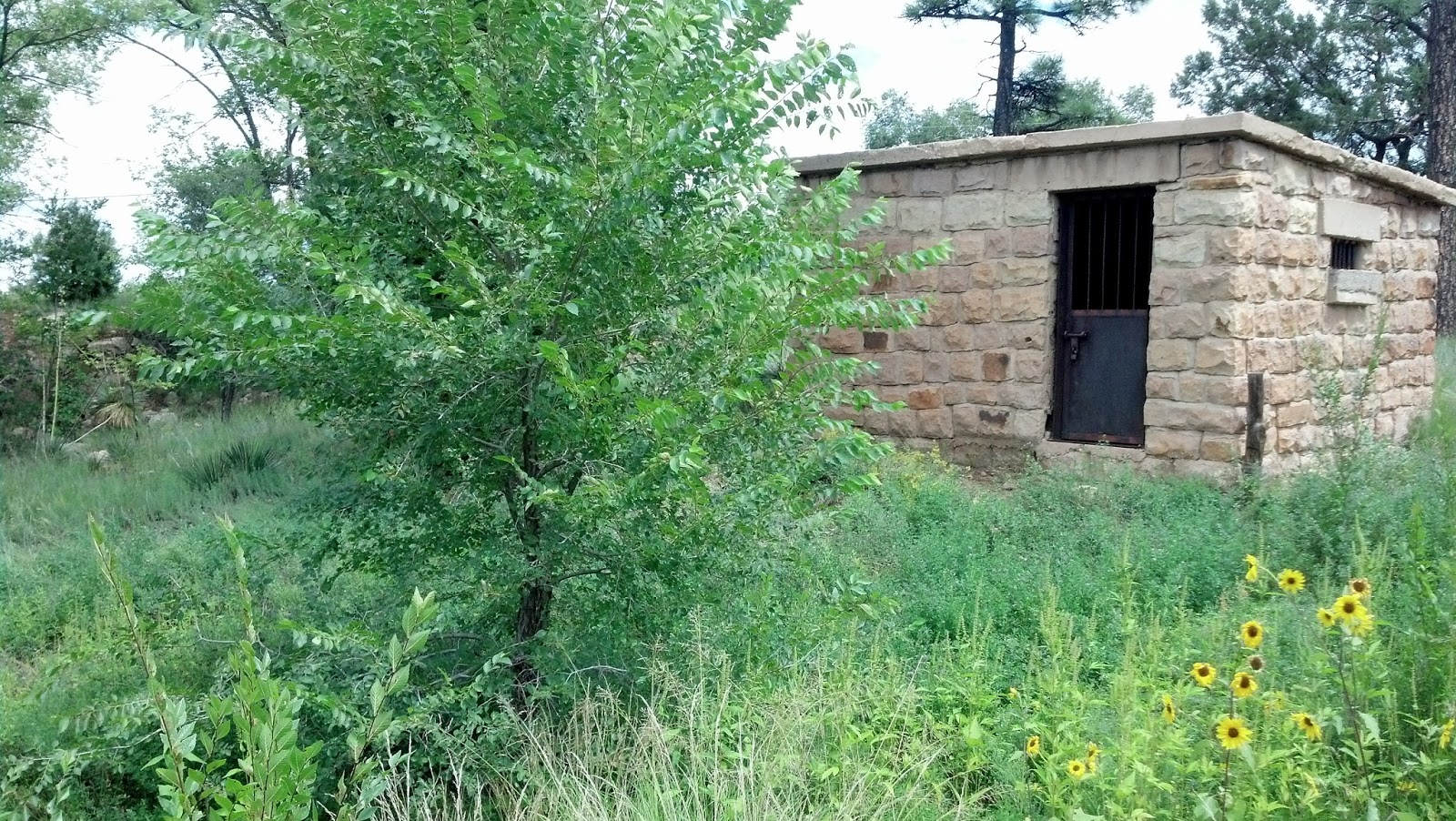 Russ & Nancy - Summer 2013