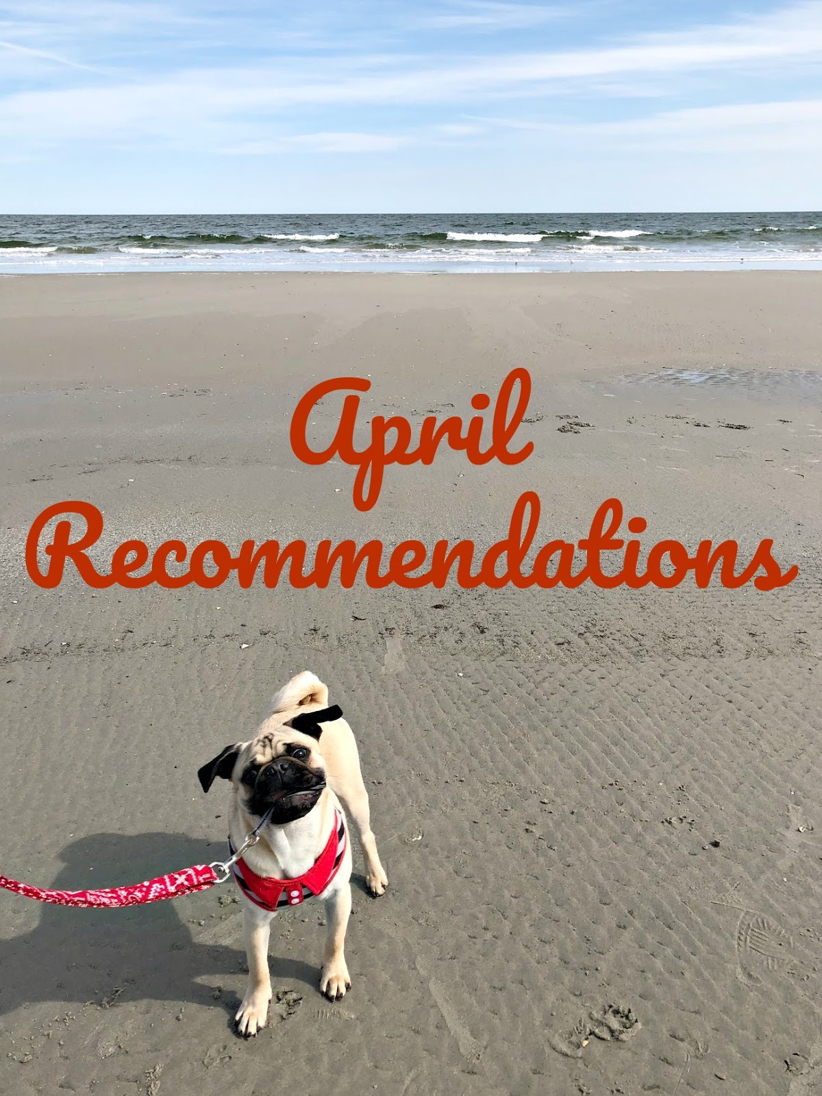 Life According to Steph: April Recommendations