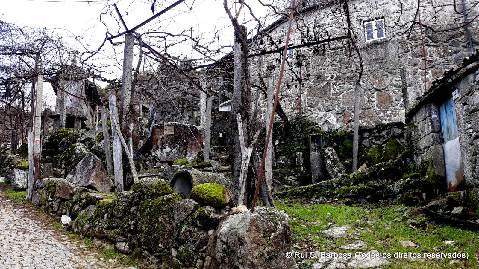 Carris: Revisitando o Trilho de Germil