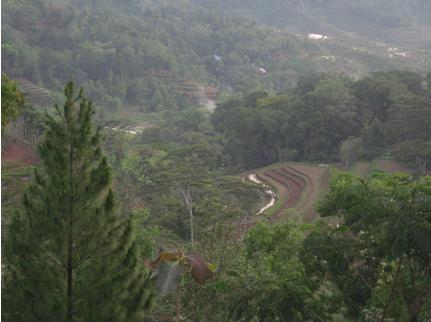 DESA TEMBORO KABUPATEN WONOGIRI: Galeri