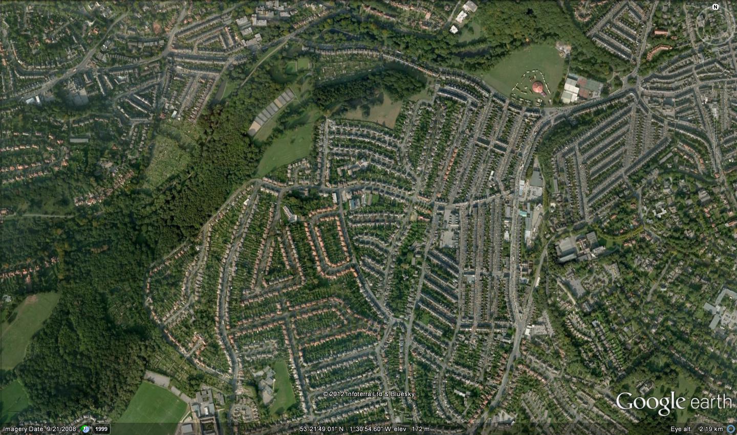 The People's Forest of Sheffield - AWA Trees