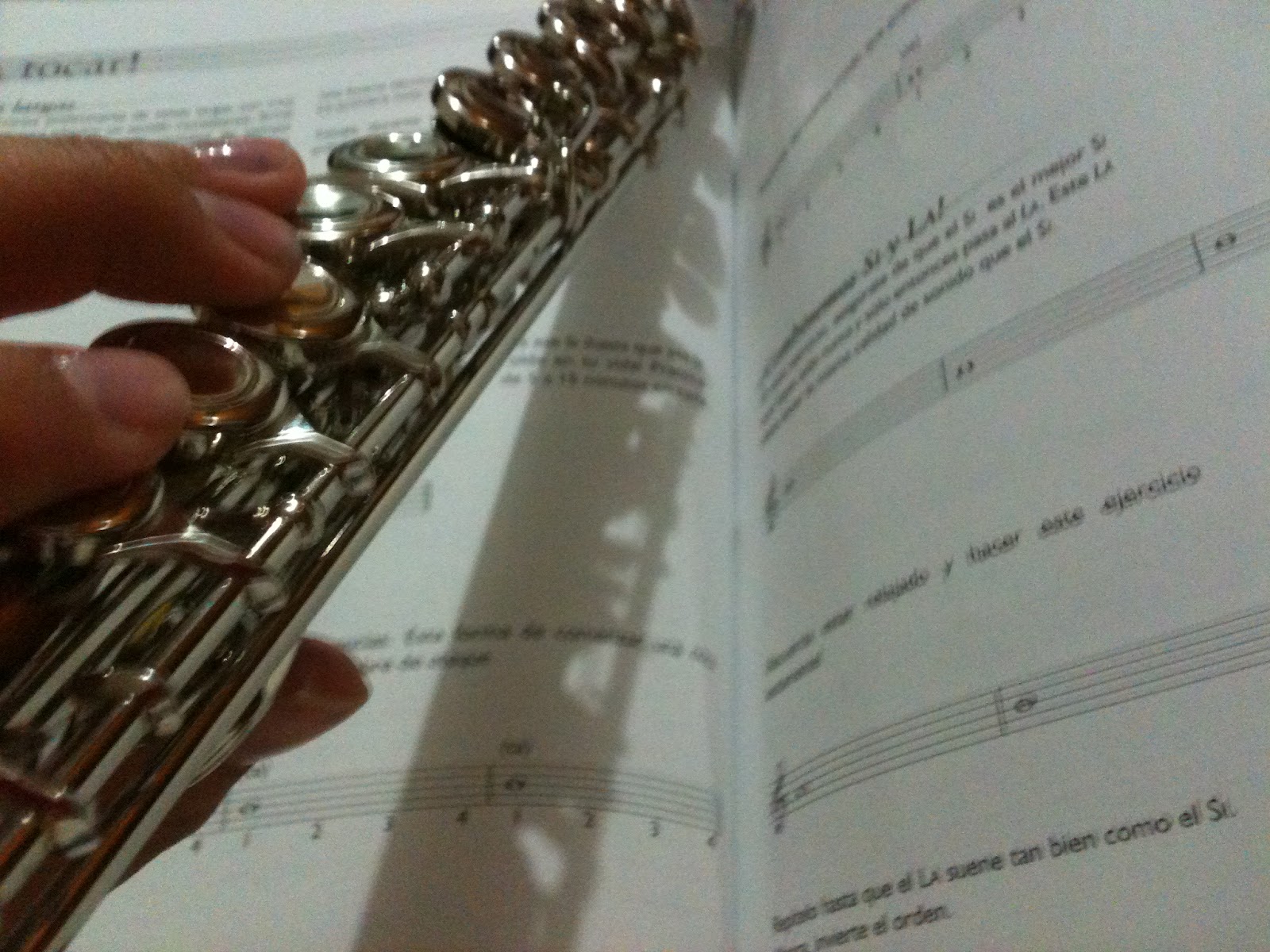 Flauta Traversa: 2012