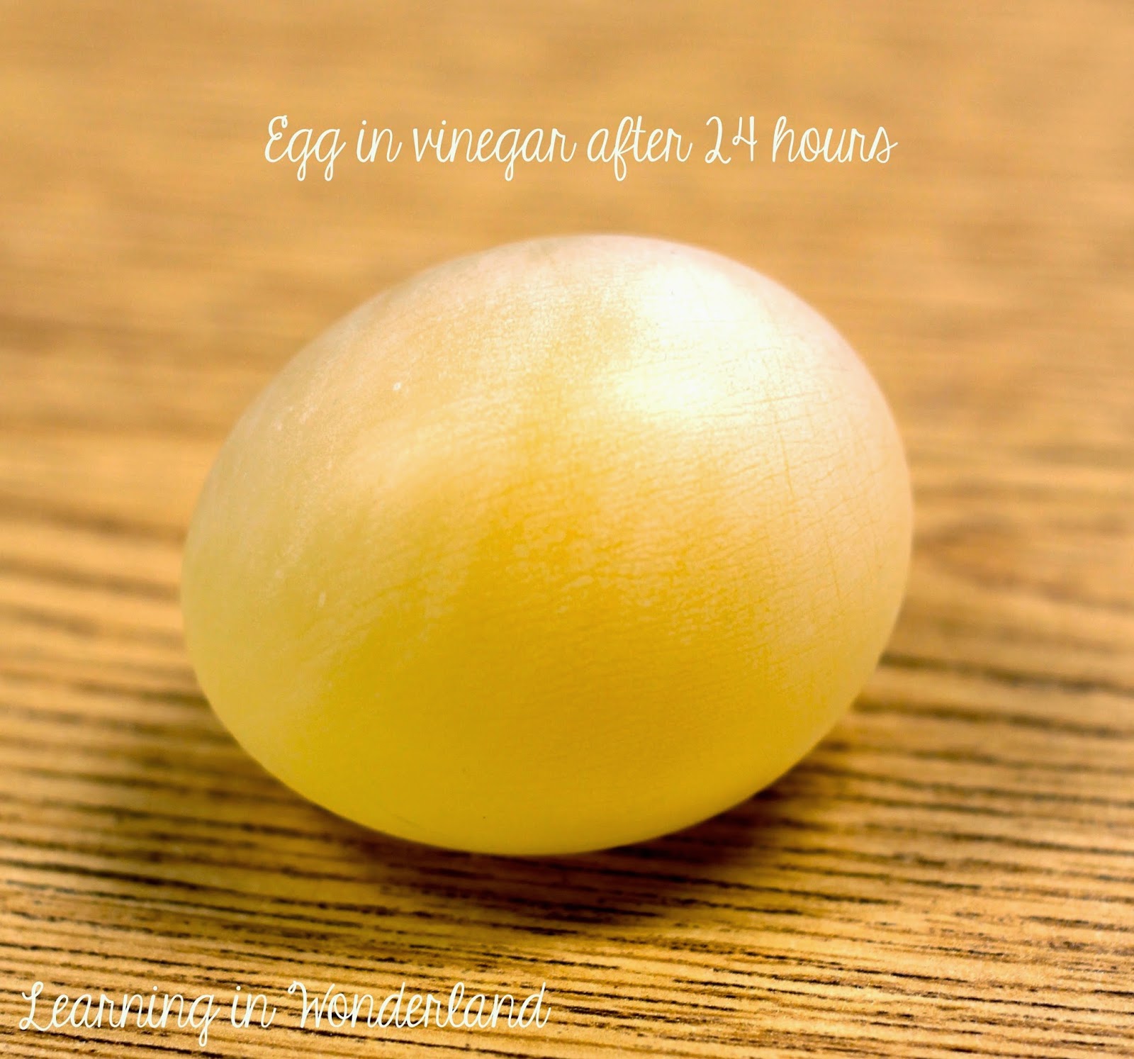 Hello Sunshine: Naked Egg Experiment