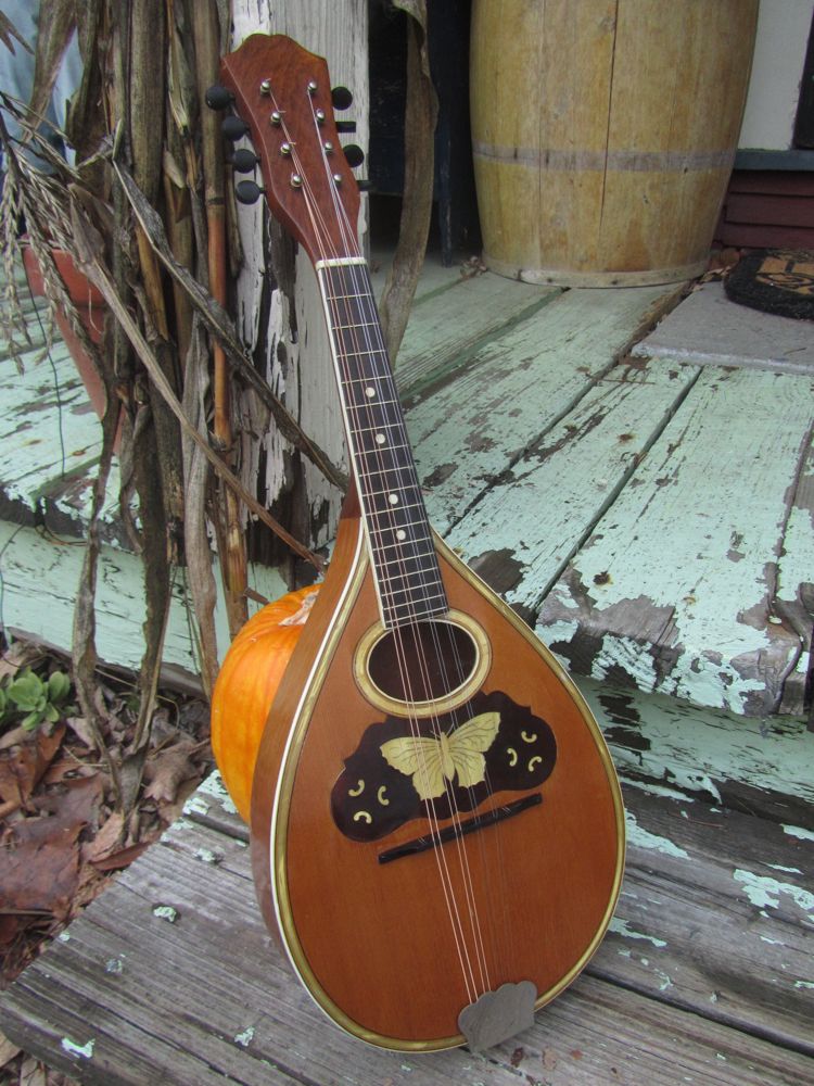 c.1920 Unmarked "Butterfly" Flatback Mandolin