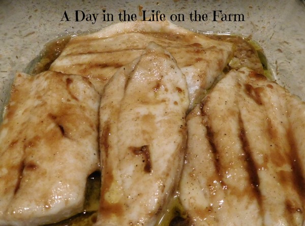 A Day in the Life on the Farm: Guinness Glazed Scrod #FishFridayFoodies