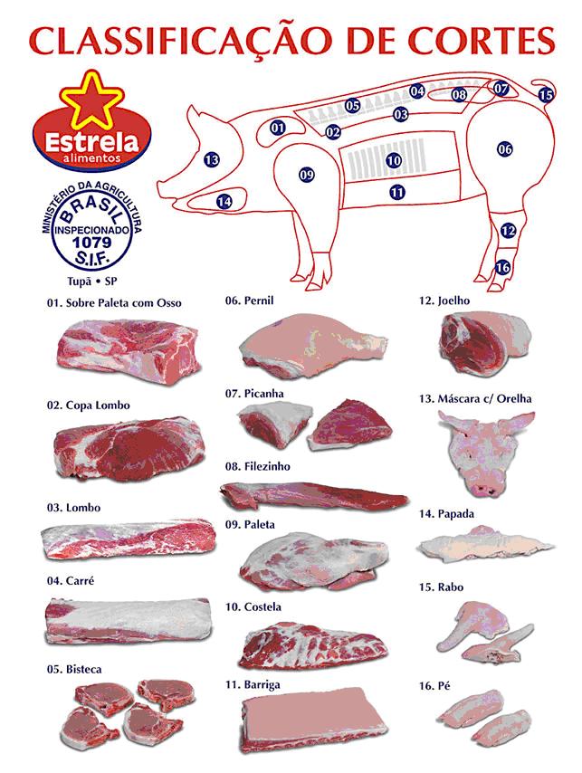 PORTFÓLIO NUTRICIONAL: 15. Carnes & Pescados