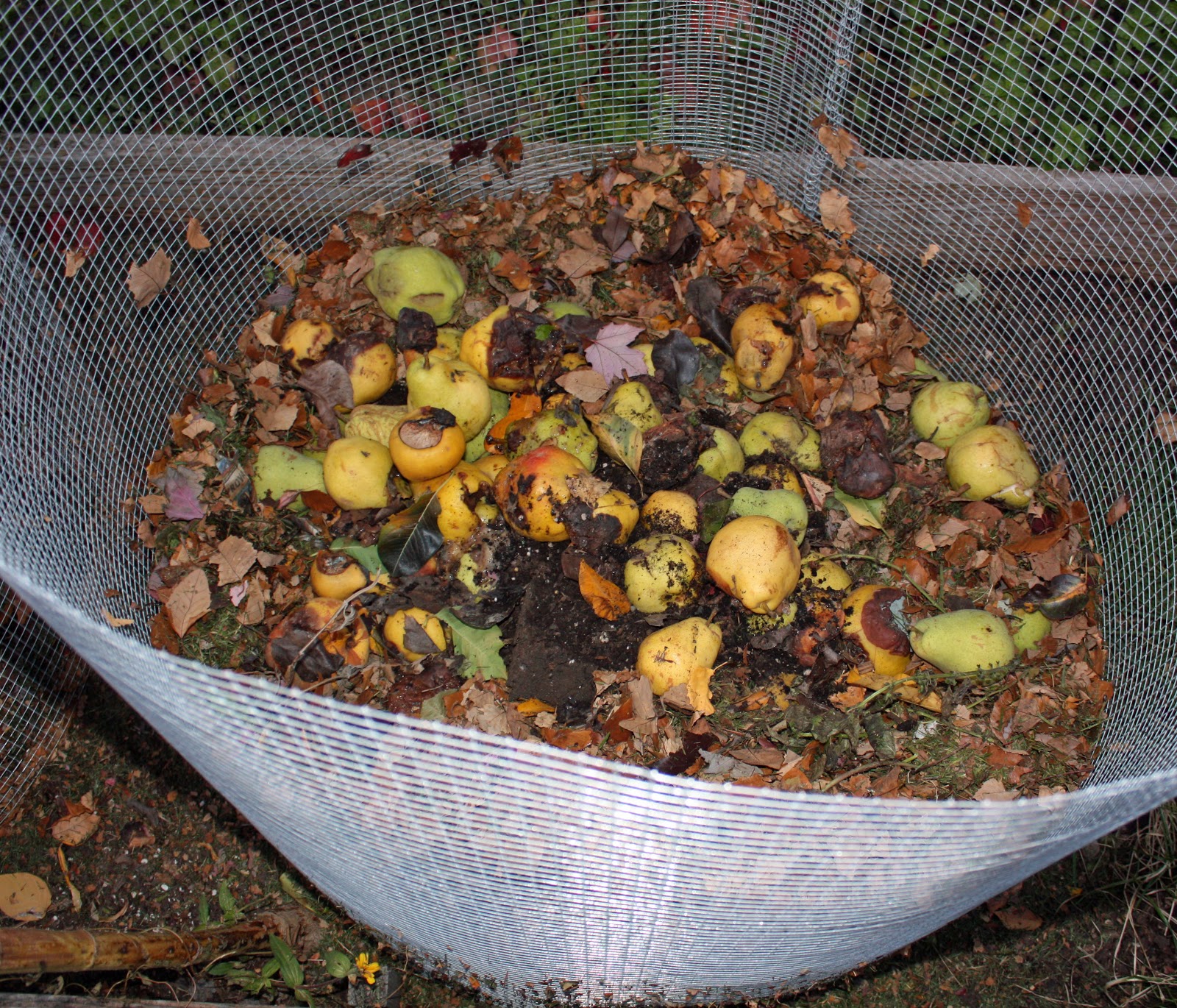 Boise Daily Photo Garden Shot: Time for the Weekly Compost Stirring