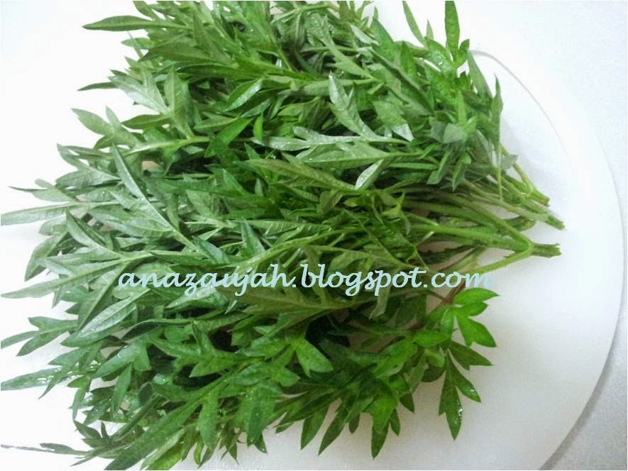 diari kebun~@na: Kerabu UlaM RaJa